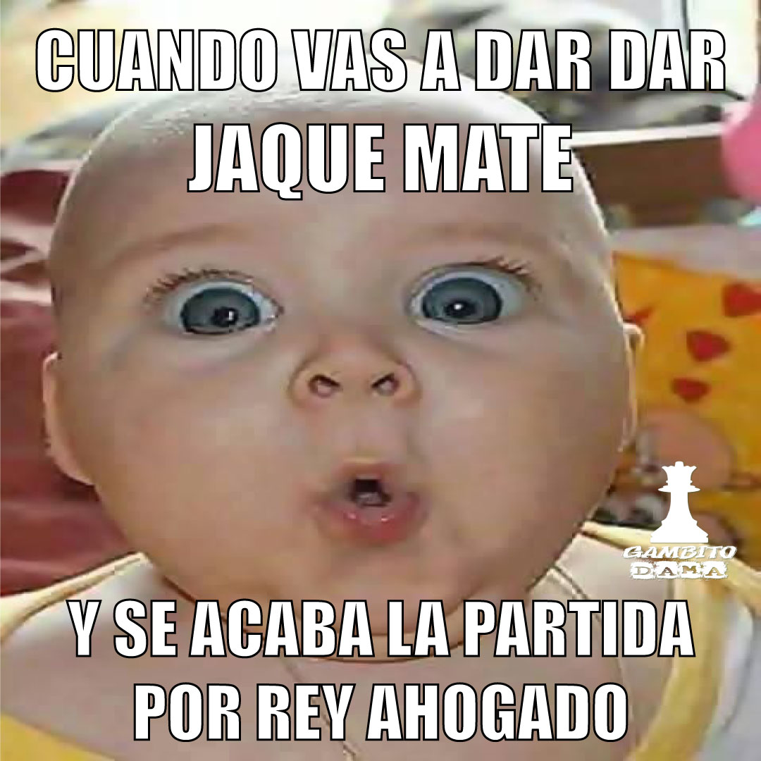 Memes de Ajedrez: Los Más Divertidos de la Red 【 Los Más DIVERTIDOS de ...